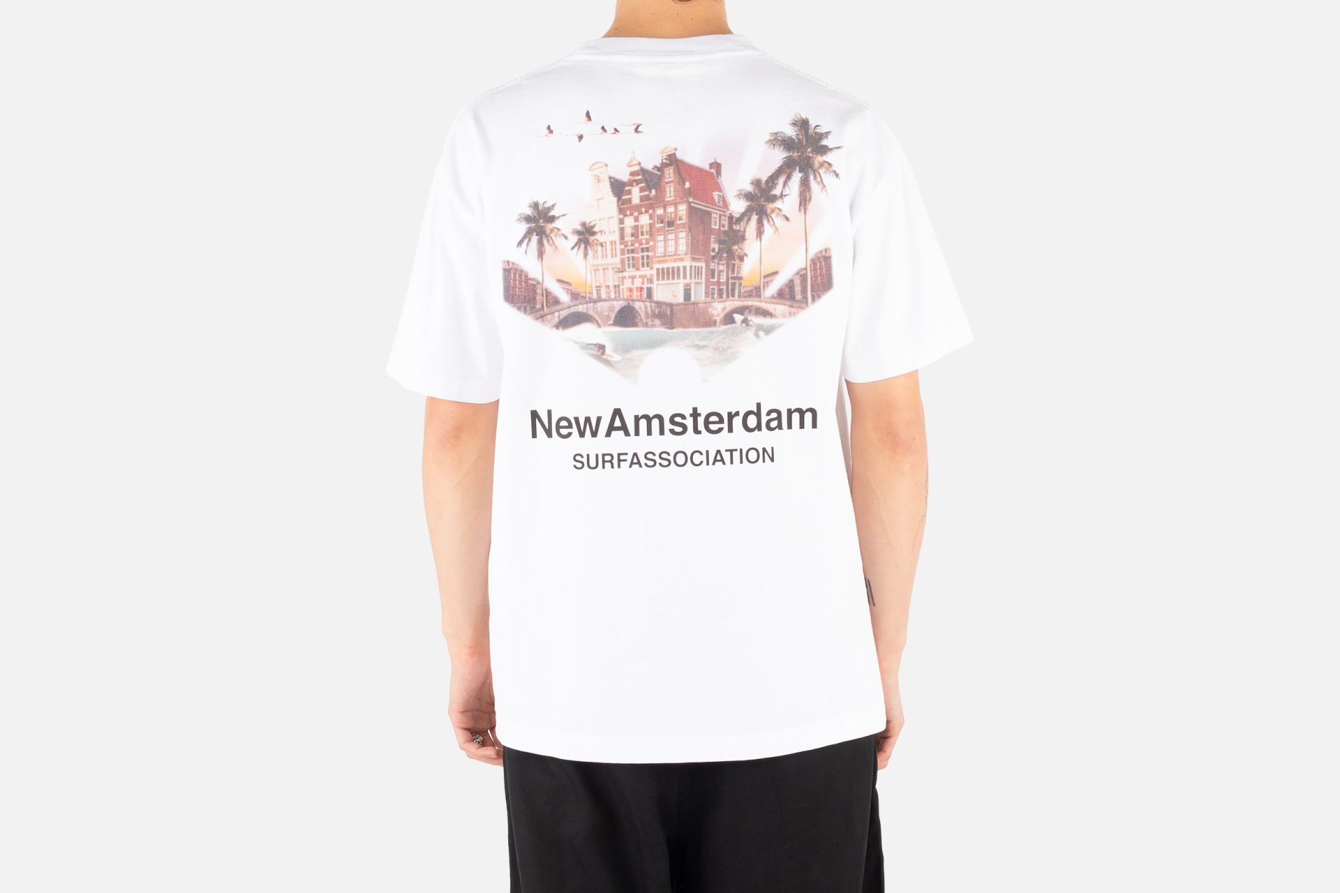 Article by New Amsterdam